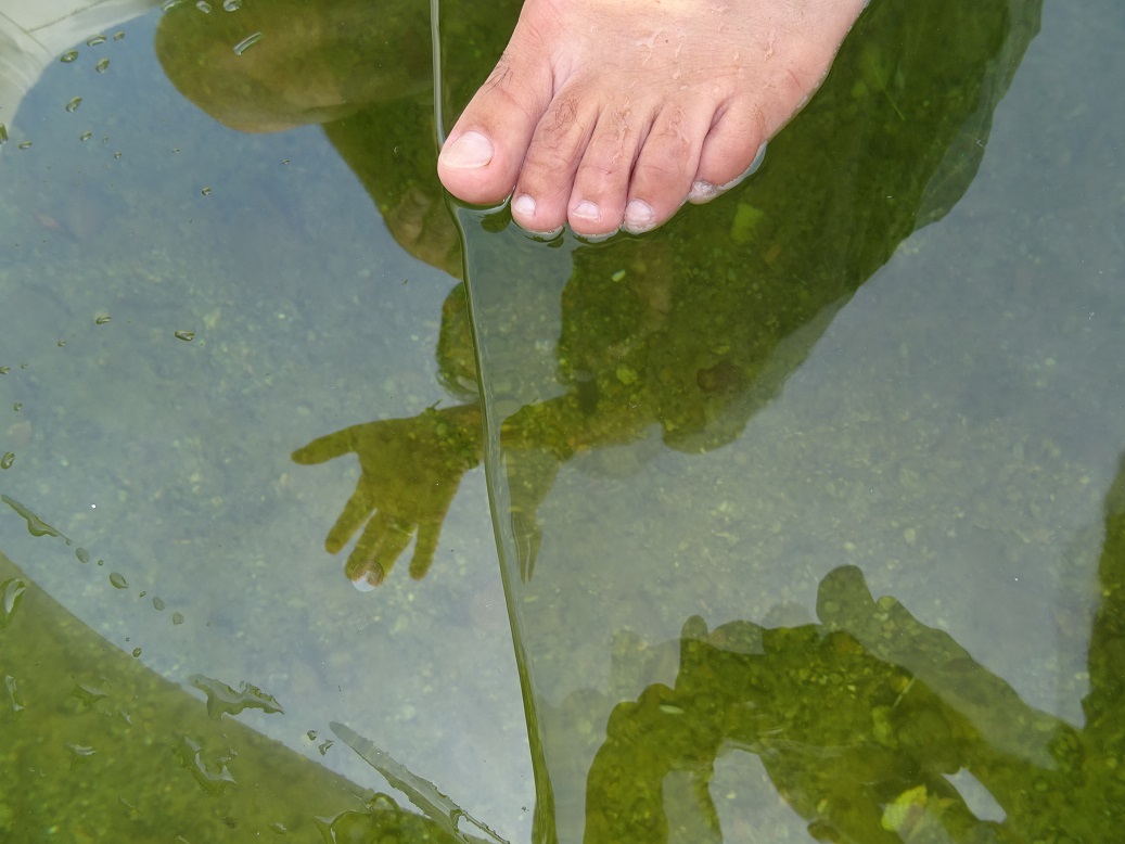 TRANSPARENT HULL BOAT | axamarine