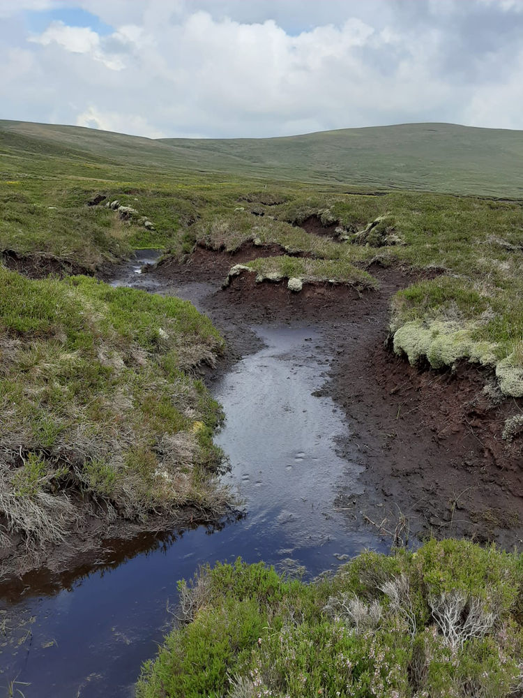 The Peatlands FAQ