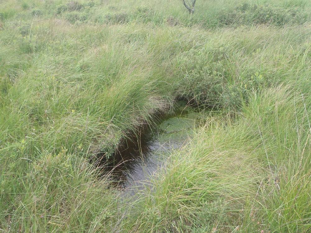 Technique of the Week: Hagg Reprofiling