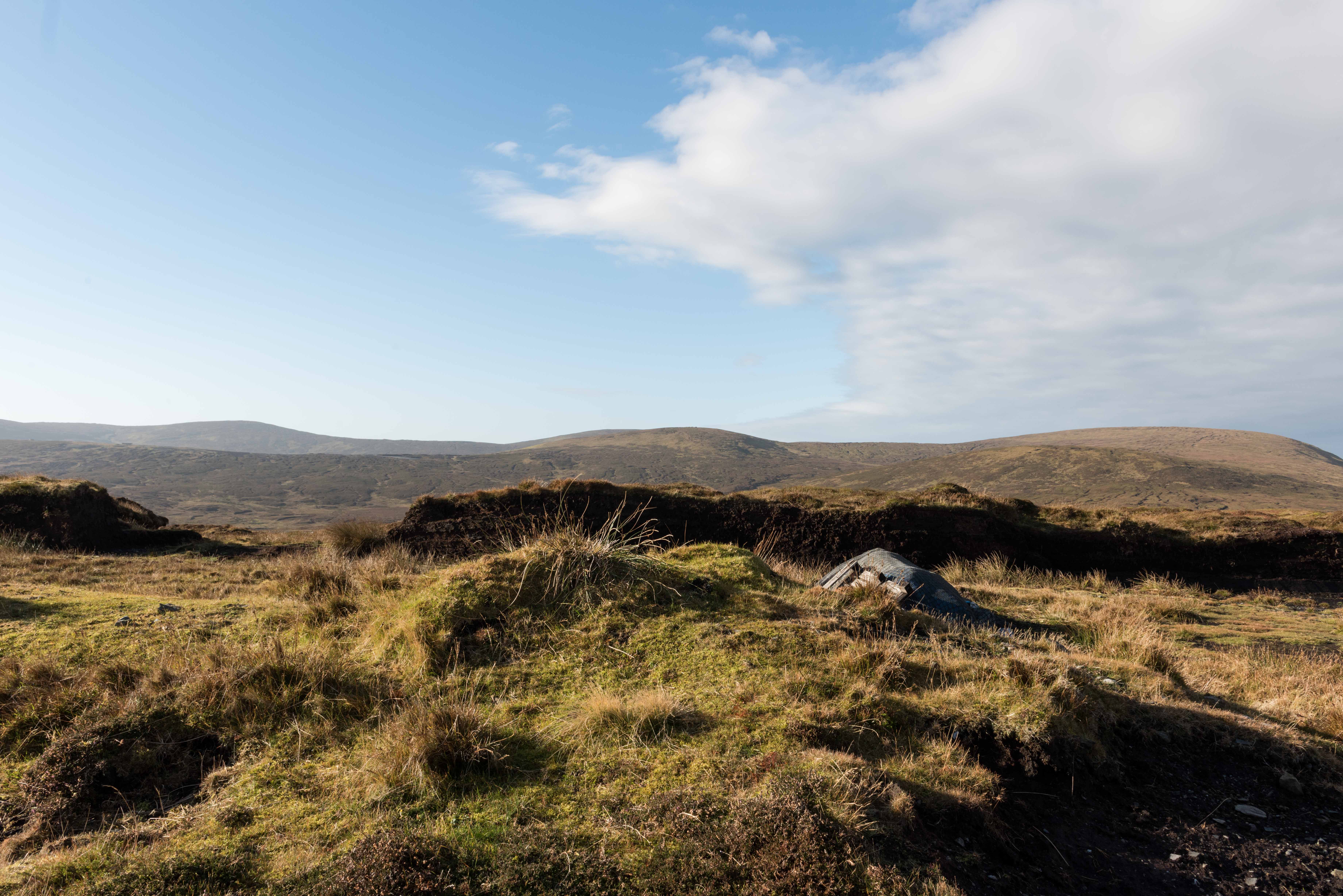 Peatland Restoration Training | Carbon Centre Peatland Restoration Training | Carbon Centre