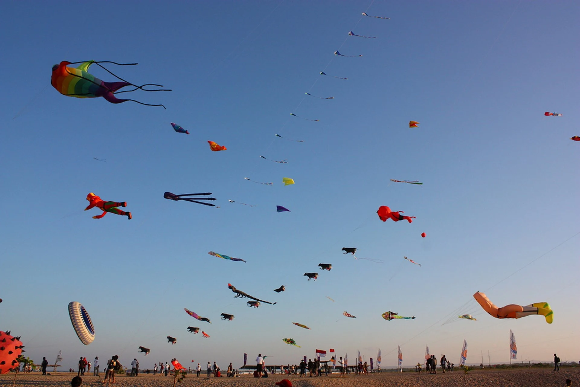 "Celebrating Cultural Diversity: A Look at Kite Festivals Around the World"