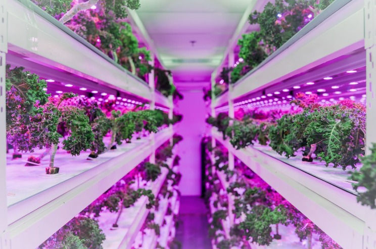 Hydroponics - NFT Channels & Accessories | Unitra Jaya