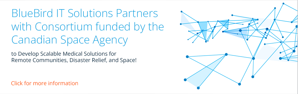 Healthcare computer network support provider | BlueBird IT Solutions Inc