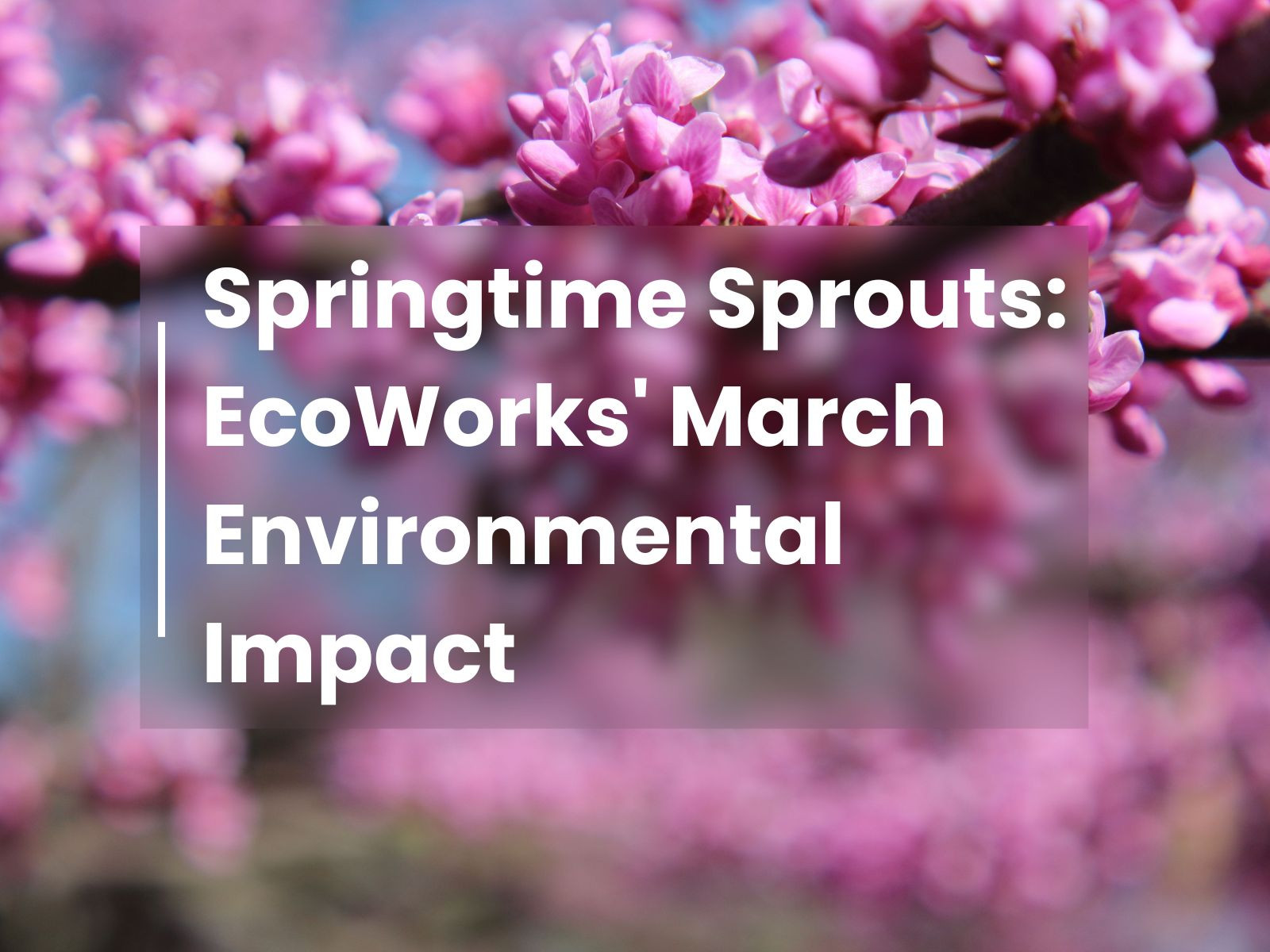 Springtime Sprouts: EcoWorks' March Environmental Impact