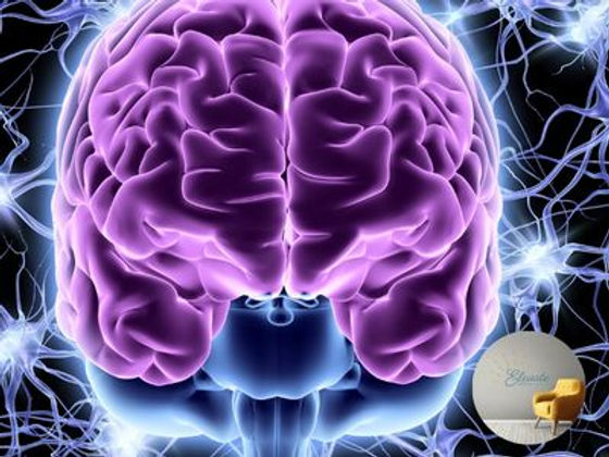 Exploring How Your Nervous System Impacts Mental Health