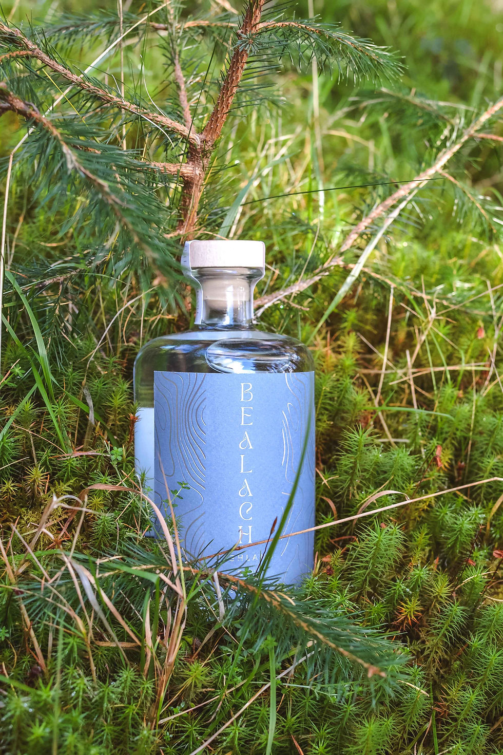 Home | Bealach Highland Gin