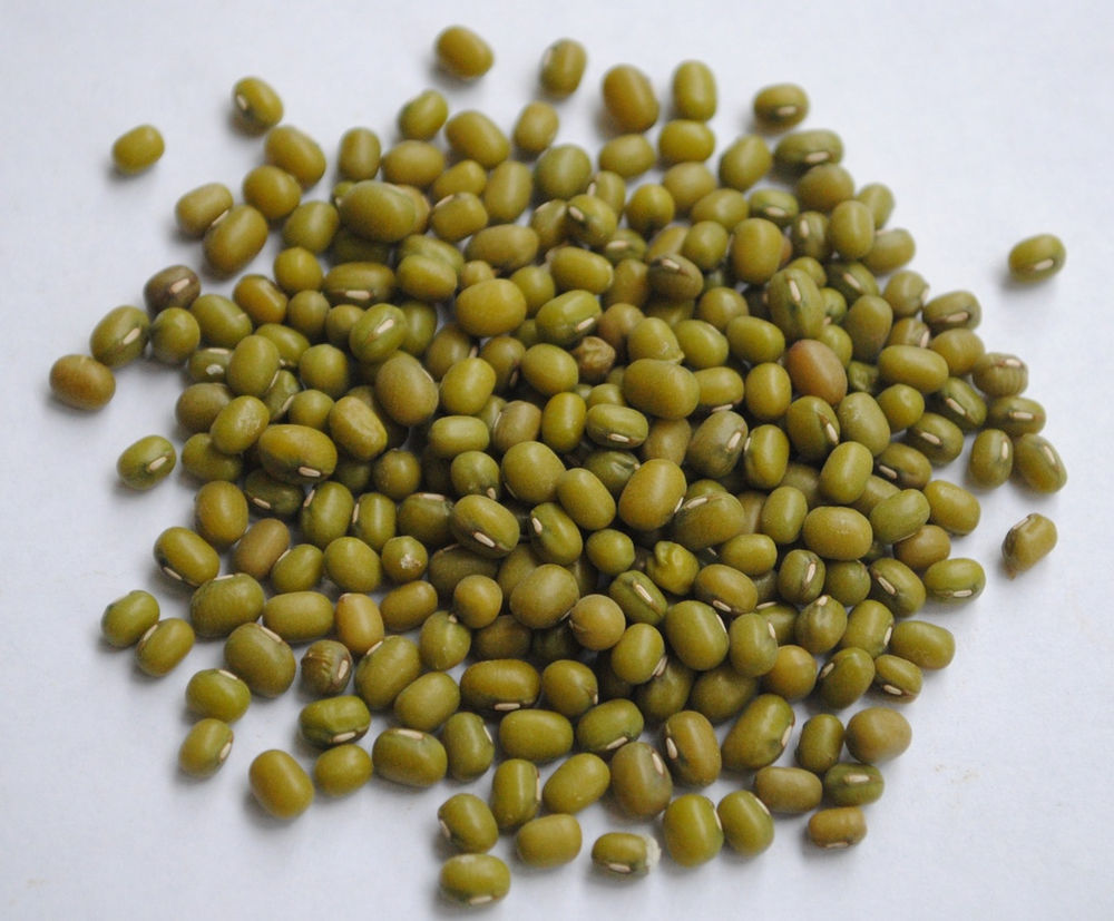 Mung Bean Benefits, Facts Nutrition, and Top Trends