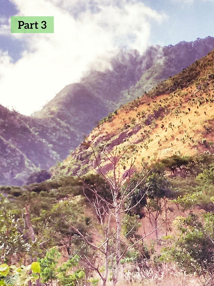 Tales of a Vale, part 3