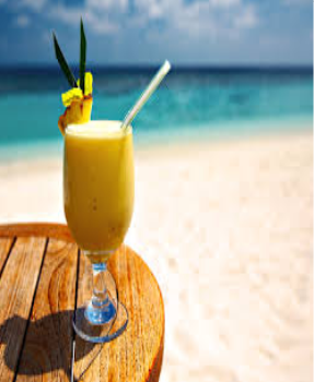 Spring Break Bundle | Timeless