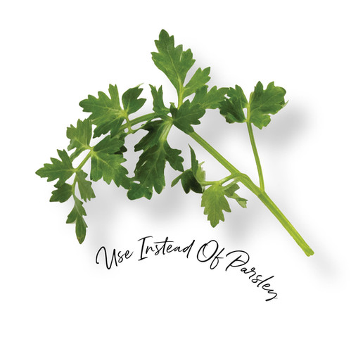 SEA PARSLEY | Merchant Street