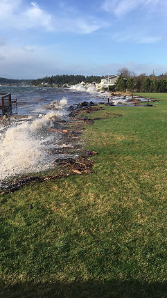 Mutiny Bay | South Whidbey Shorel