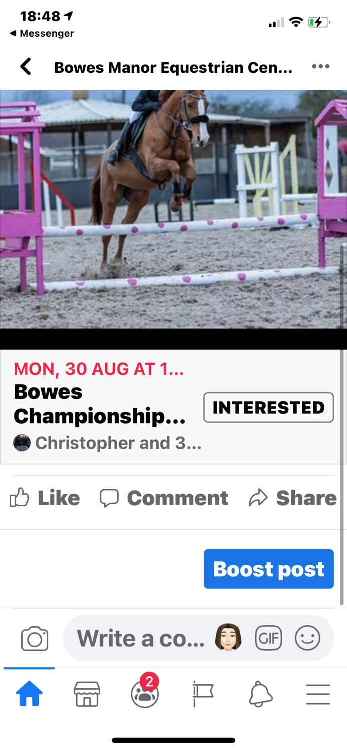 Home | Bowes Manor Equestrian Centre