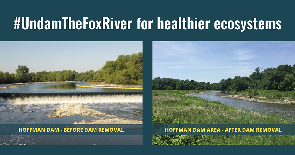 U.S. Army Corps of Engineers’ Study Recommends Removing Nine Fox River Dams to Rehabilitate River