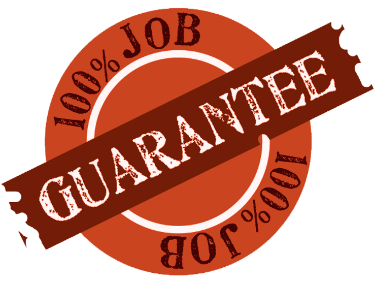 100% Placement Guarantee Program (PGP) | Limited Seats
