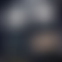 WORD | Leda official website