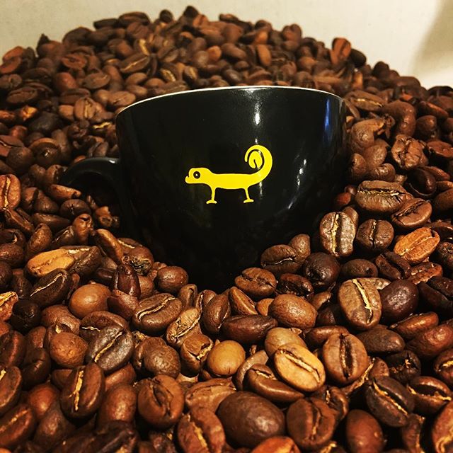 Golden Gecko Coffee