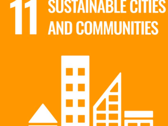 Niti Aayog and SDG 11: Steps Towards Sustainable Cities and Communities