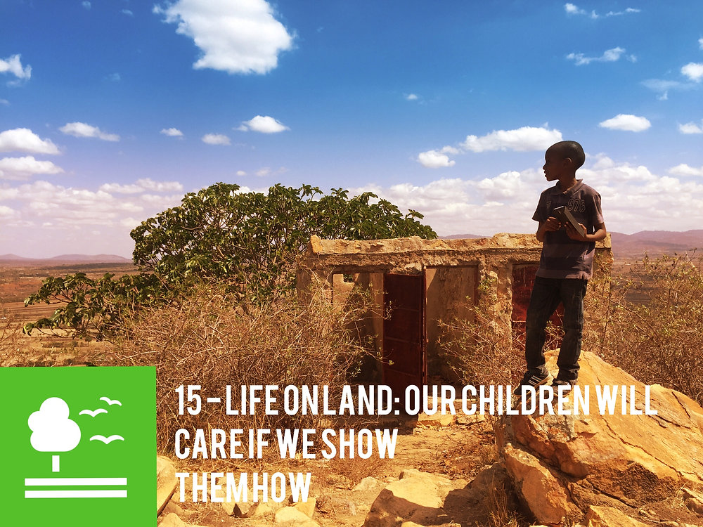 SDG 15: Life on Land and the Role of People for Animals