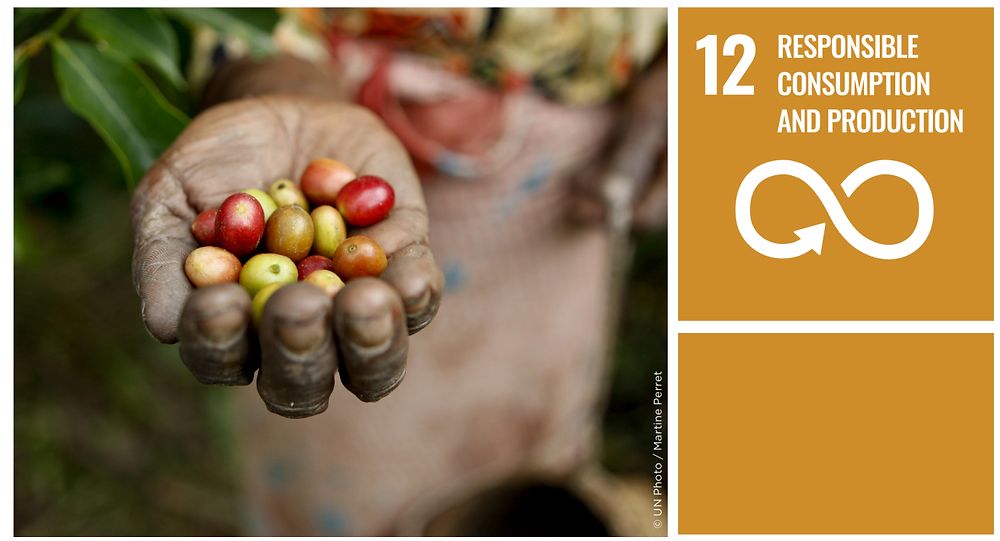 SDG 12: Responsible Consumption and Production and the Role of Goonj NGO