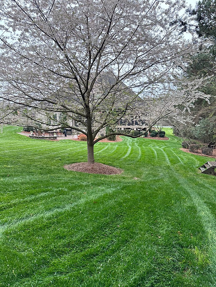 Lime Grass Treatment | Lime | Go Grass Cuts