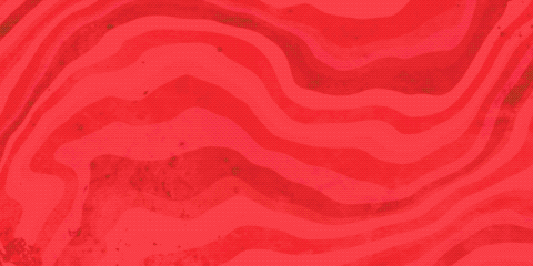 Budget Accommodation | Extreme Conference