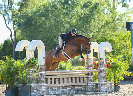 PHOTOS | Ryan Pedigo Sport Horses | California