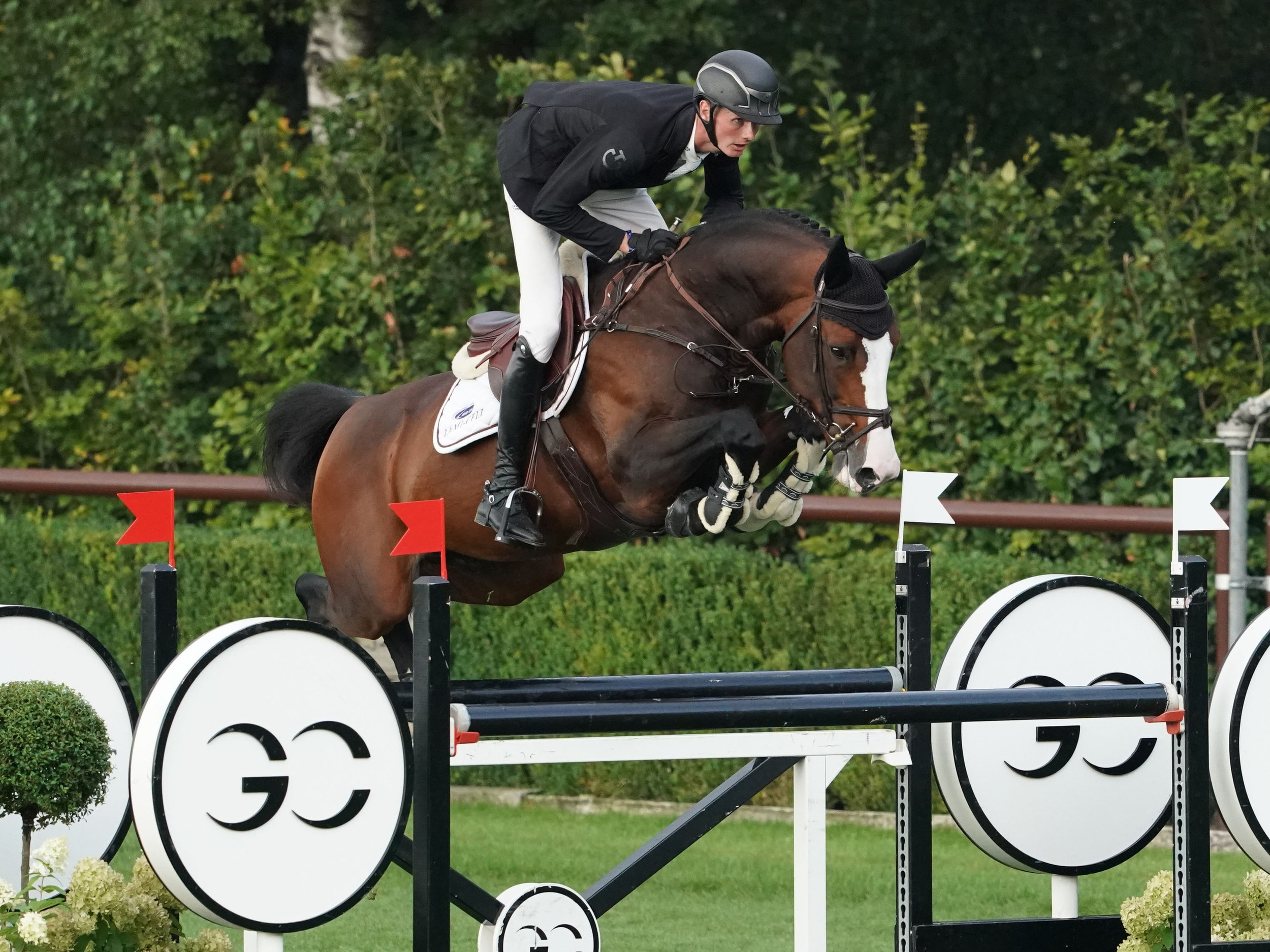 MILLION DOLLAR | Ryan Pedigo Sport Horses | California