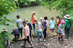 Home | Natural Pathways