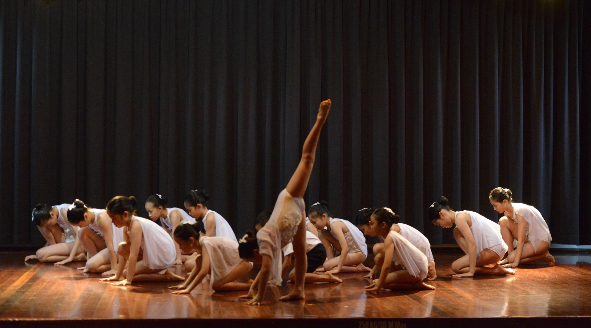 Home | Soaring Star Dance Studio | Australia