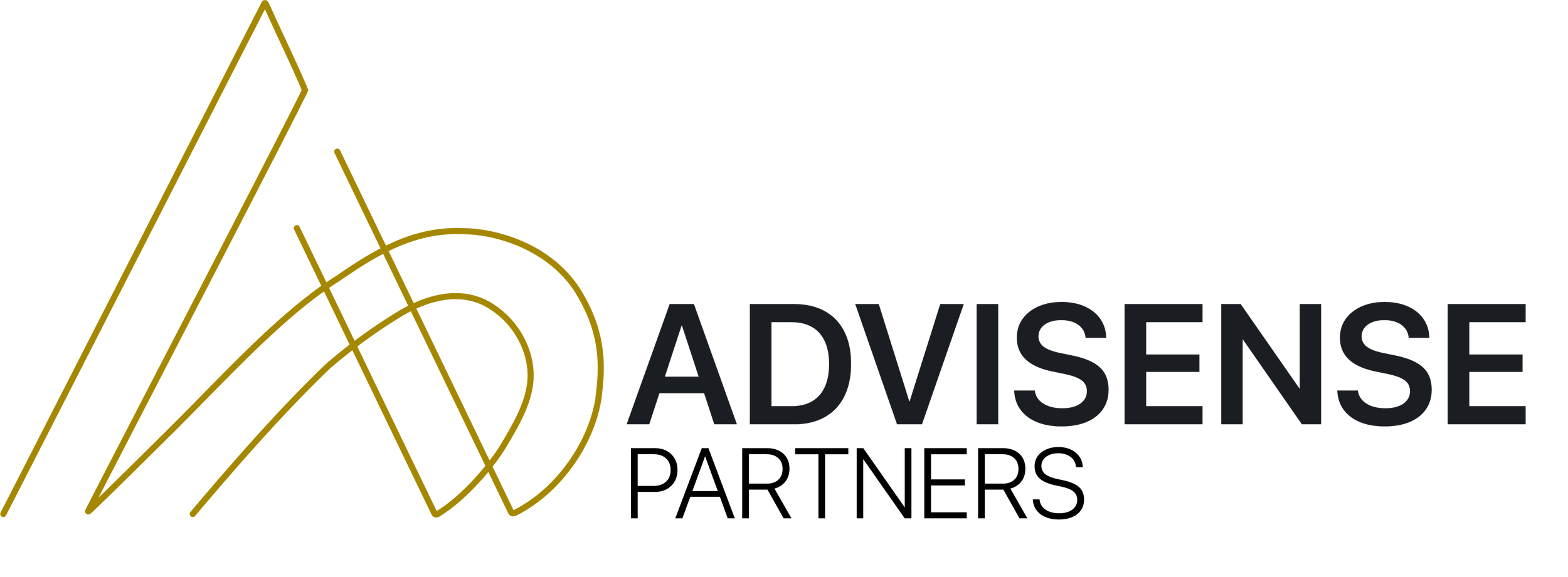 Advisense Partners | Strategic Advisory Firm