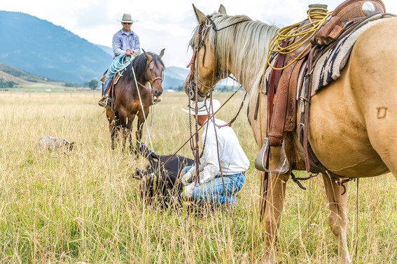 Cowboy Photographer | Wyoming | Skye Clark Images