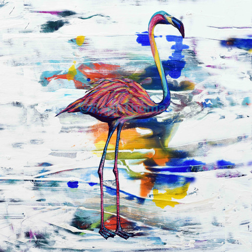 Rainbow Flamingo | raph