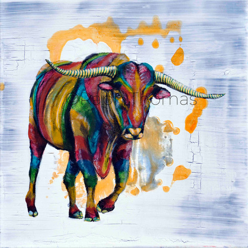 Rainbow Bull 1 | raph