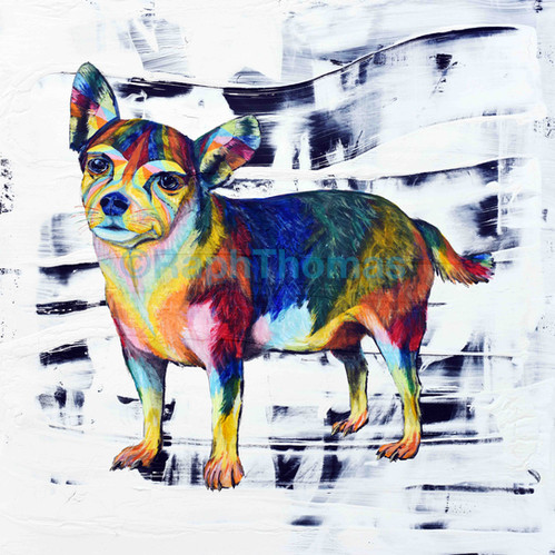 Rainbow Chihuahua | raph