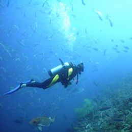 I want your job: Interview with Peter Michie, Prosecutor turned Scuba