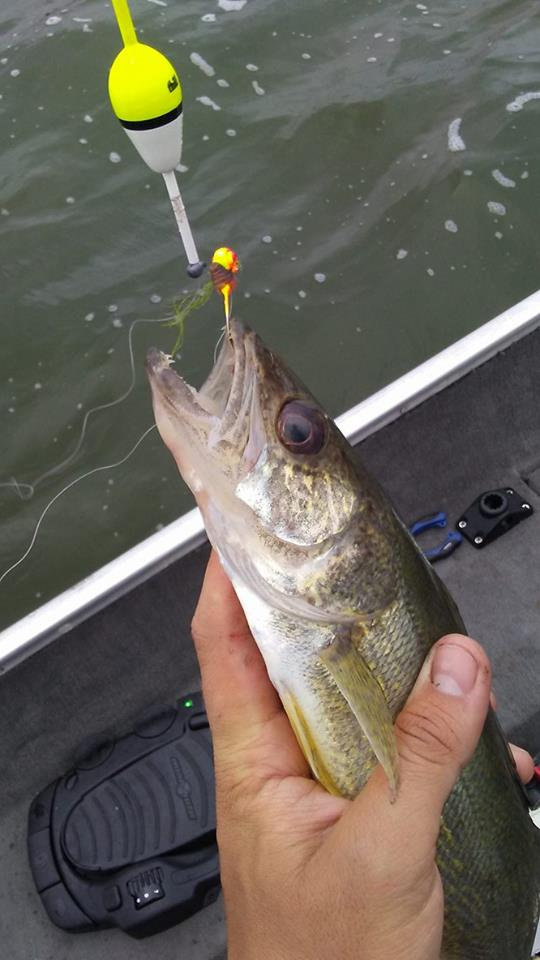 Simple Slip Bobbers for Summer Walleye