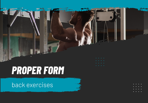 Proper Form Exercise Videos – Back Exercises | MRF Institute