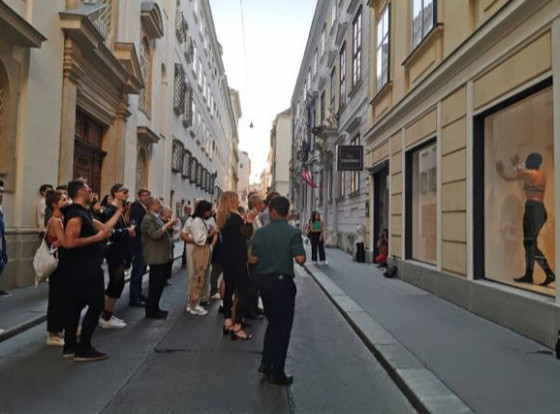 Vienna // Unveiled Mirrors | Alessa Grande