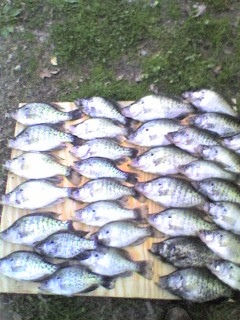 Photos | reelfoot-fishg-guide