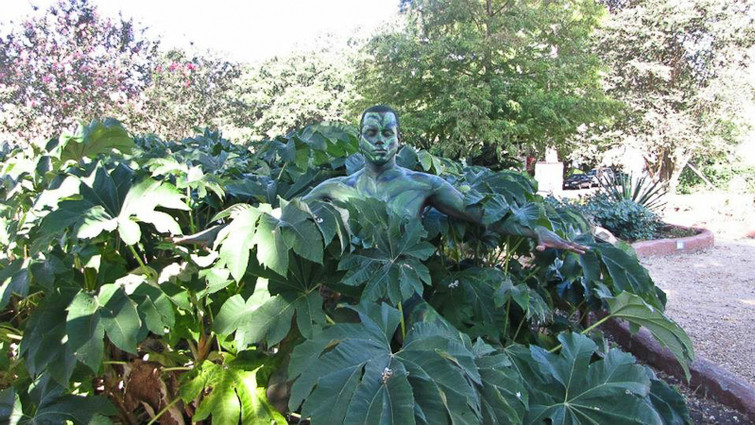 Body Painting | ABC Bodyart | Houston