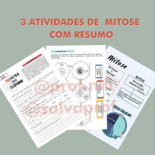 Kit 3 atividades de mitose + resumo com gabarito | Salva Prof