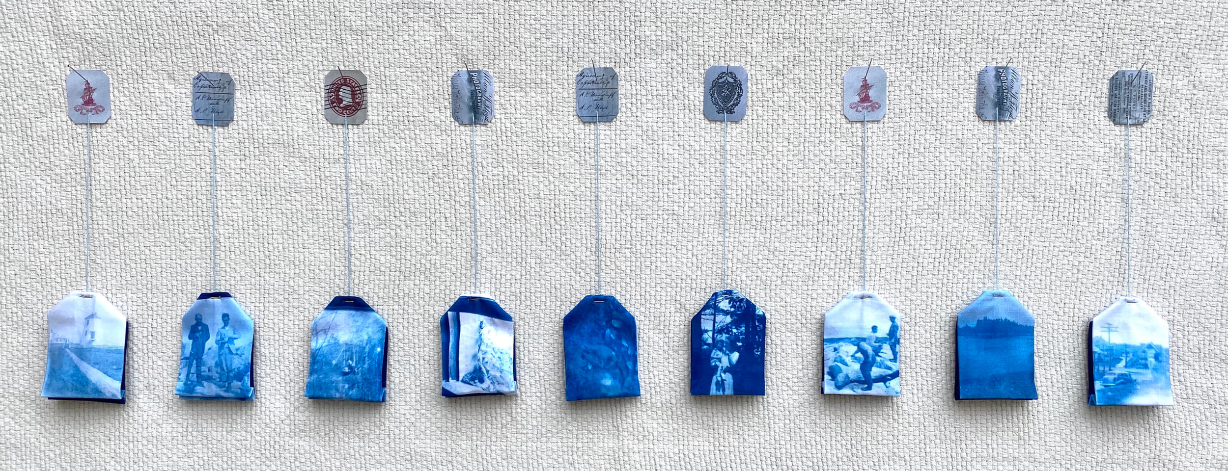 Blue Infusion | AlternativeProcesses