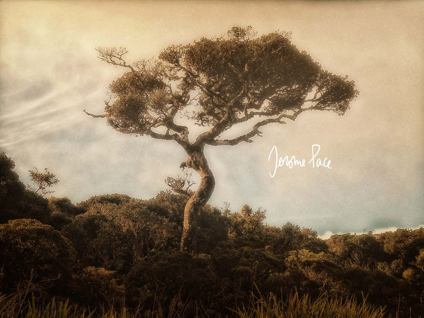 Once upon a world | Jérôme Pace - Photography