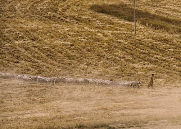 Portfolio | Jérôme Pace - Photography