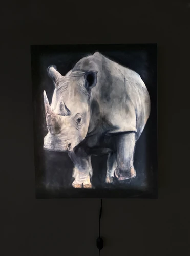 White Rhino Light Box 24"x30" | projectholocene