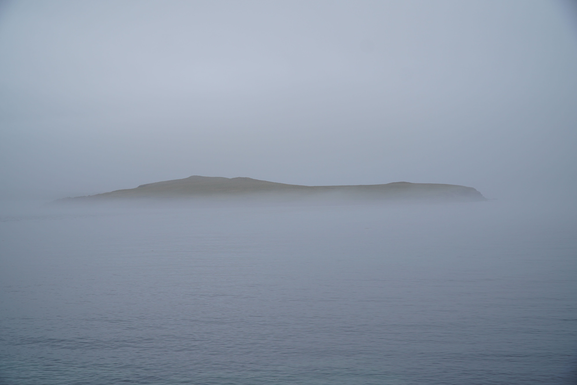 Let's Jam! | Curious Pilgrims