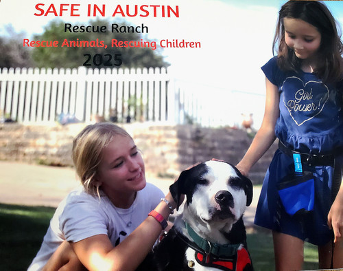 Safe In Austin 2025 Calendar | safeinaustin