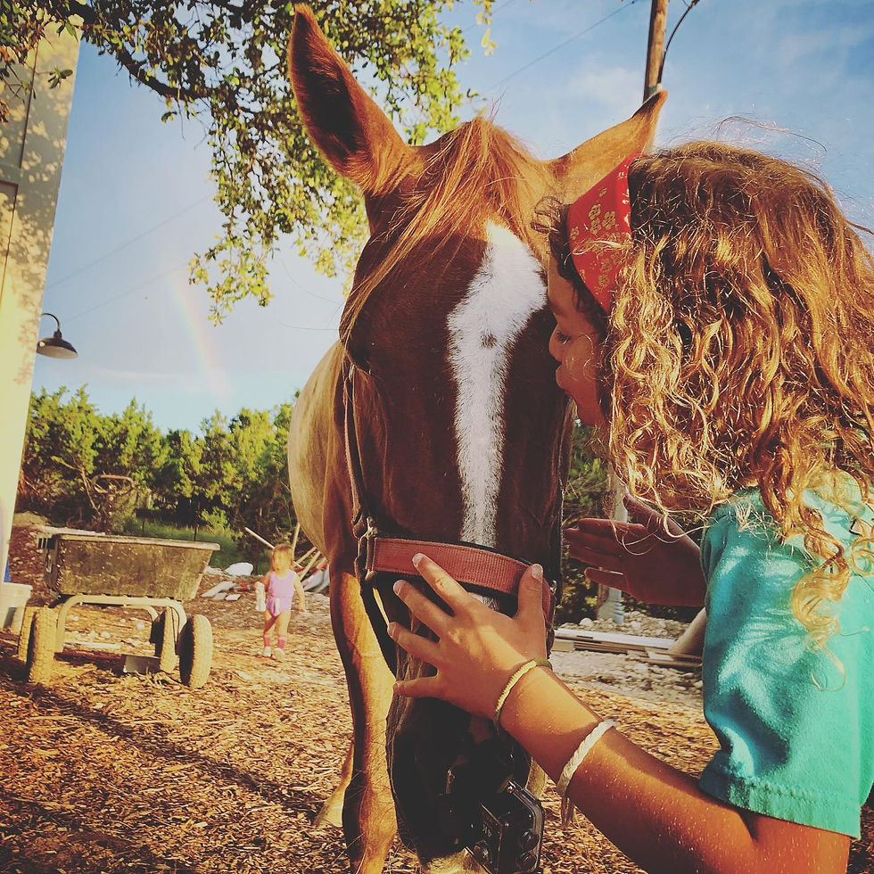 Our Programs | safeinaustin