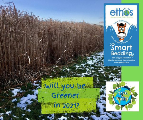 Ethos Scented Bedding | Grooms