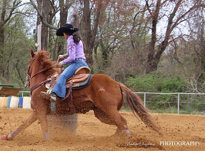 Home | Morissa Hall Rodeo Q